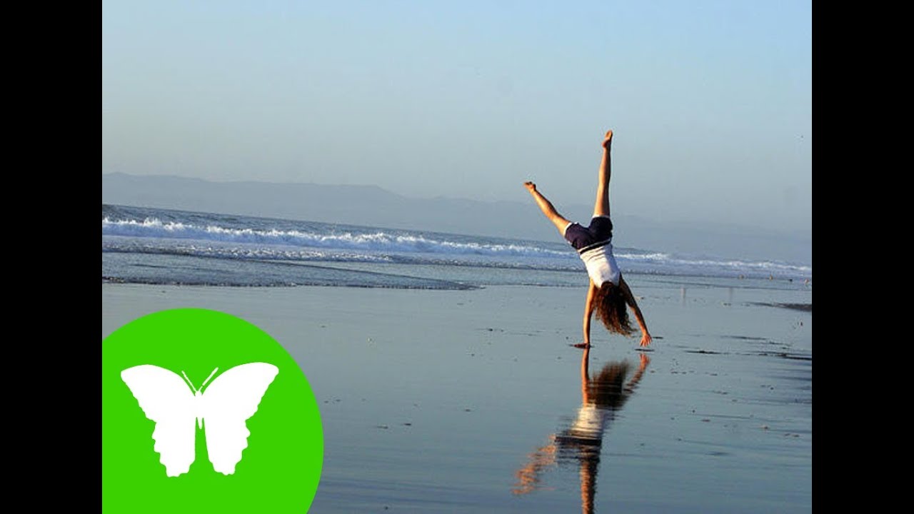 La Eduteca - Las funciones vitales