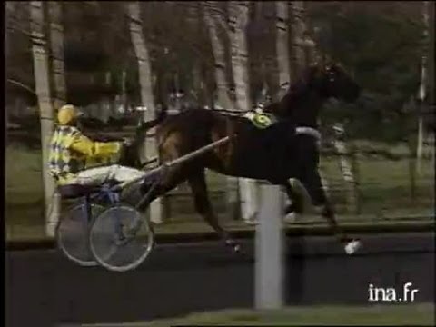 The lazy king – Tales of legendary trotters