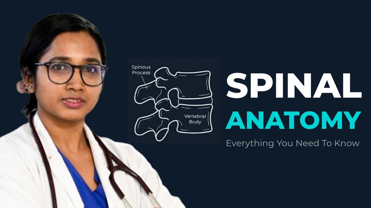 Spinal & Epidural Anatomy in only 14 Minutes | Easy Guide for PG Students | Anesthesia