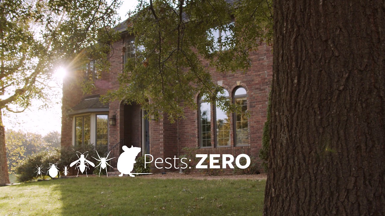 Bug Zero | Bug: Zero Pest Control