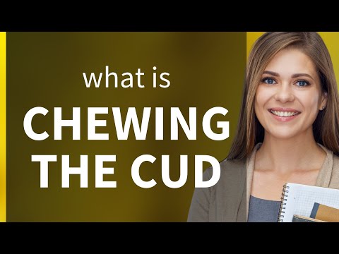 Chewing the Cud: Unraveling the Meaning Behind the Phrase