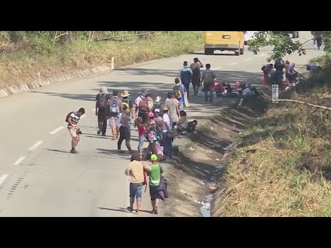 Over a dozen migrants flown to Diocese of Sacramento from Texas