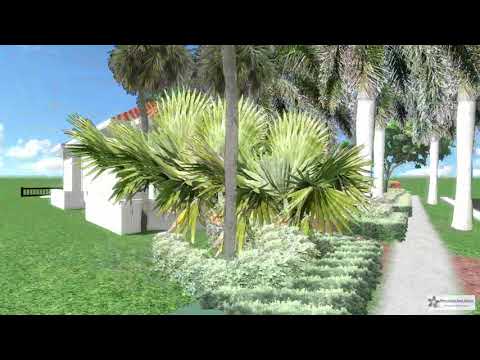 Power Group total Care PGT Design - isla verde rendering