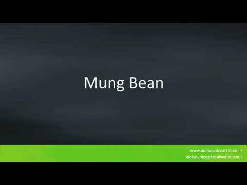 Pronunciation of the word(s) "Mung Bean".