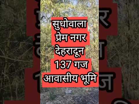 Residential Plot for Sale in Dehradun! Sudhowala Prem Nagar#realestate #primeproperty #dehradunplots