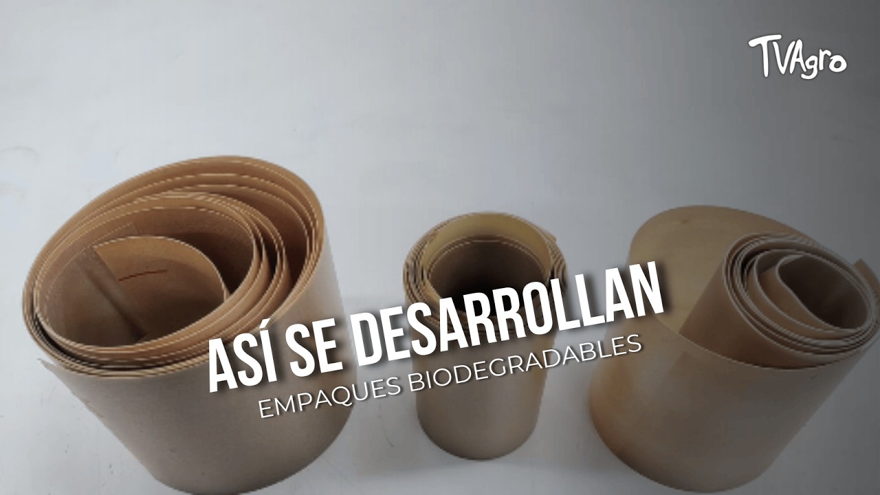 This is how biodegradable packaging is developed - TvAgro by Juan Gonzalo Angel