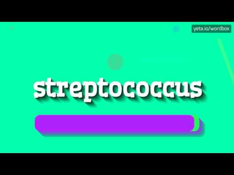 STREPTOCOCCUS - How to pronounce Streptococcus?