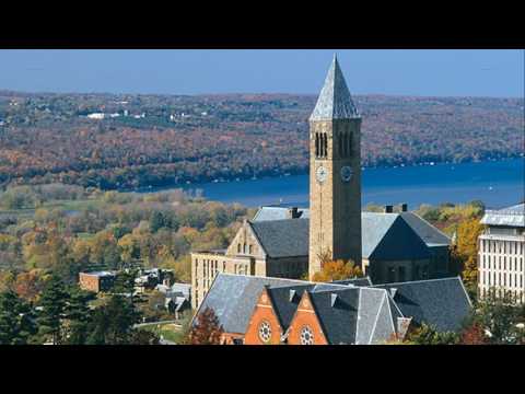 Top 10 Universities in America For Engineering New Ranking