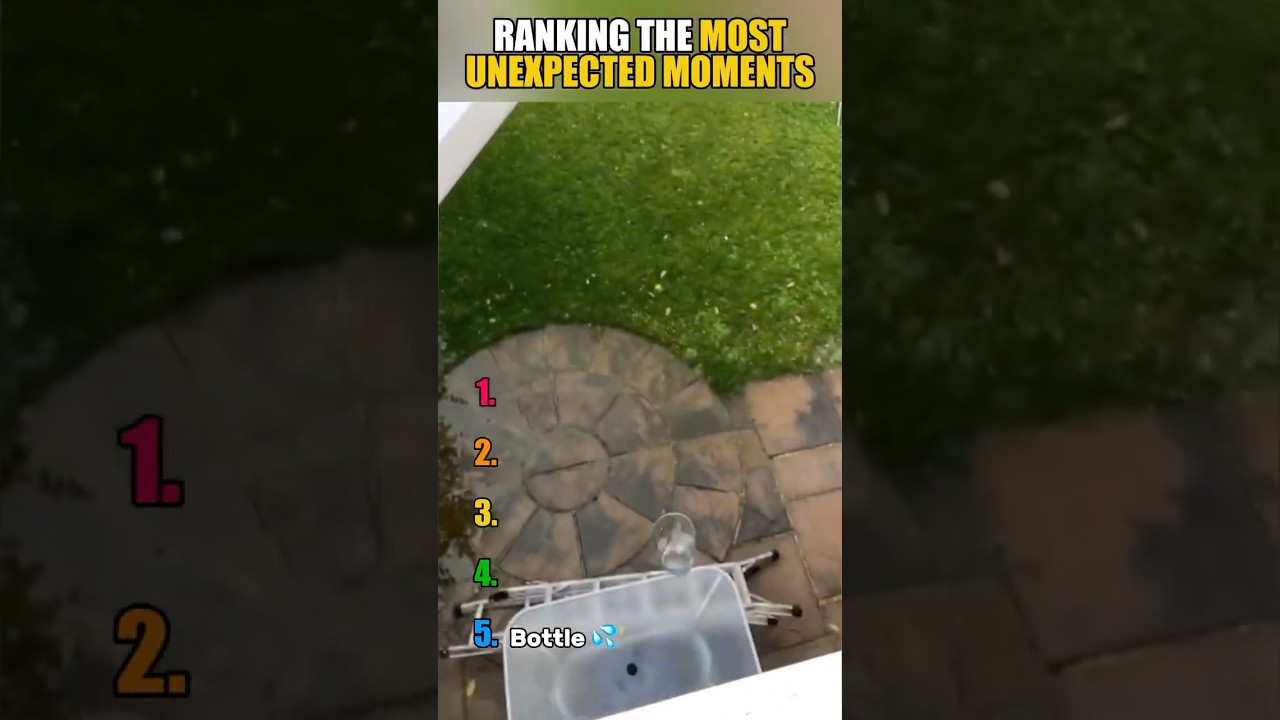 You Don’t See This Every Day… 😳