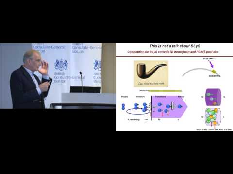 Michael Cancro: B cell selection and survival: First order considerations for immunogenicity