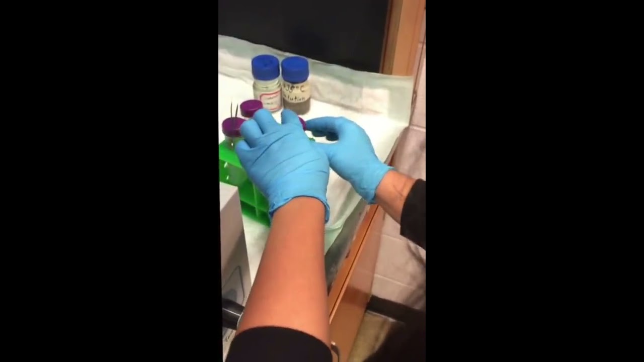 Wash and Scan an Agilent Microarray chip