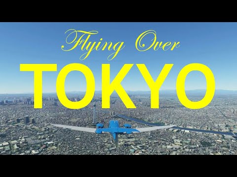 Steam Community :: Video :: GAMETIME: Flying Over Tokyo (with a Landing!)
