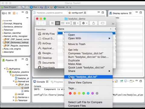 CLAMP Dictionary Lookup Tutorial