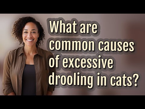 What are common causes of excessive drooling in cats?