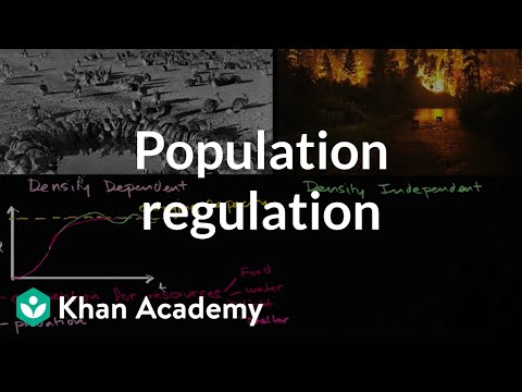 Population regulation (video) | Ecology | Khan Academy