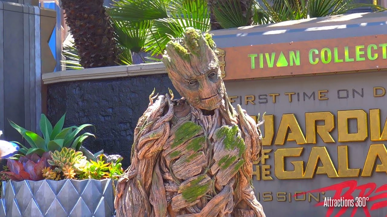 MyDisneyFix | [HD] Groot Character Meet and Greet at Disneyland Resort ...