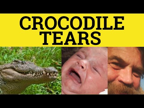 🔵 Crocodile Tears Meaning - Shed Crocodile Tears Defined - Crocodile Tears Examples Crocodile Tears