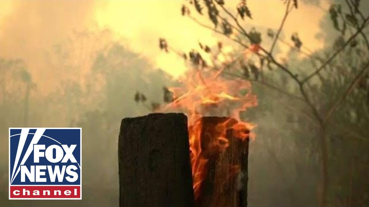 Brazilian military begins operations to fight Amazon fires