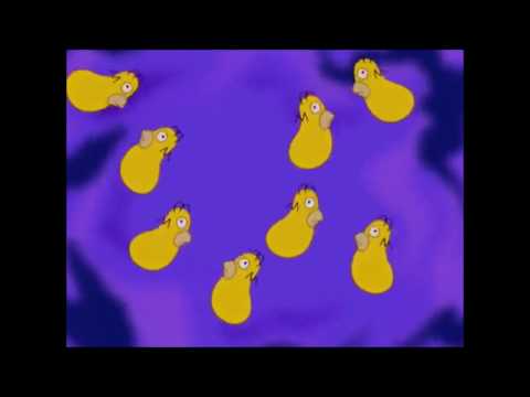 Video Human Origins One Species Living Worldwide Geohist