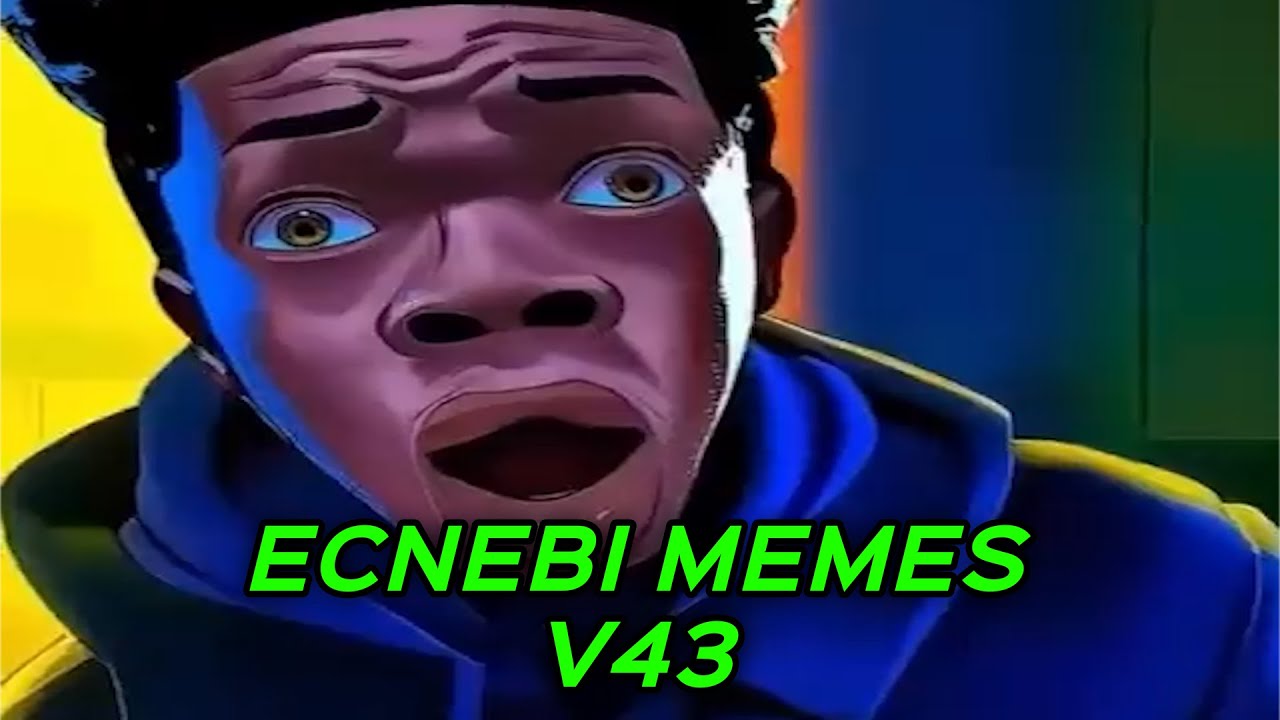 ECNEBI MEMES V43