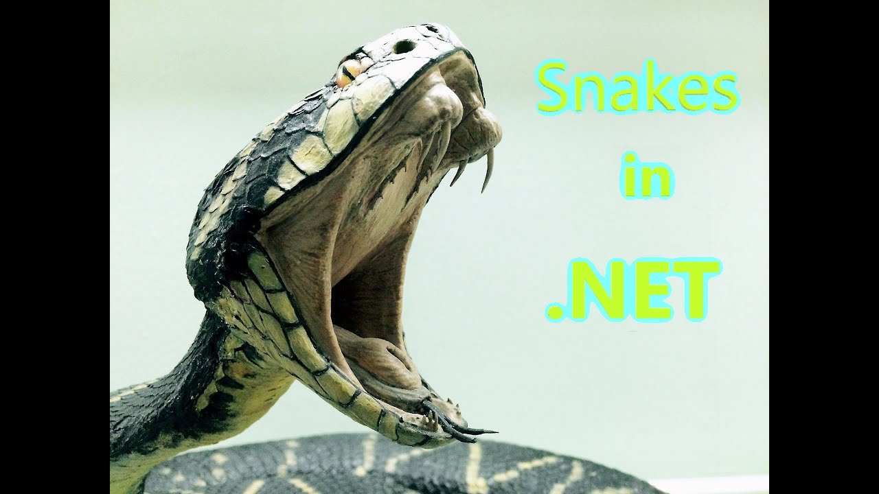 PythonNet Part 2 - Error Handling