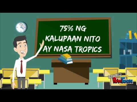 TIMOG AMERIKA