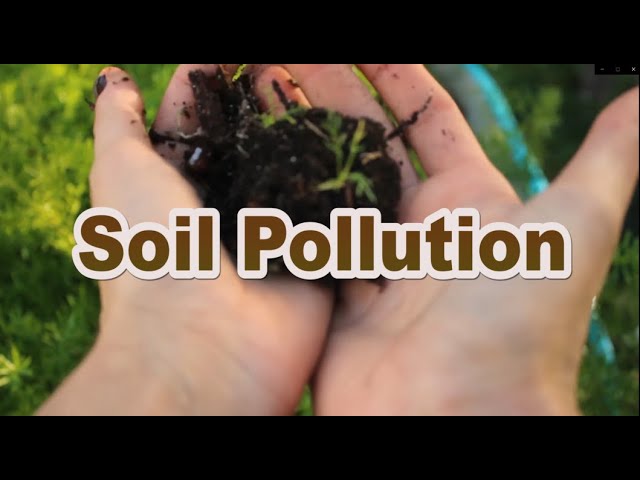 How to pronounce soil pollution | HowToPronounce.com