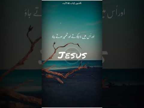 Get Rooted in Christ || Bible verse Status || Daily Bible verse || Urdu Bible verse || Bible study