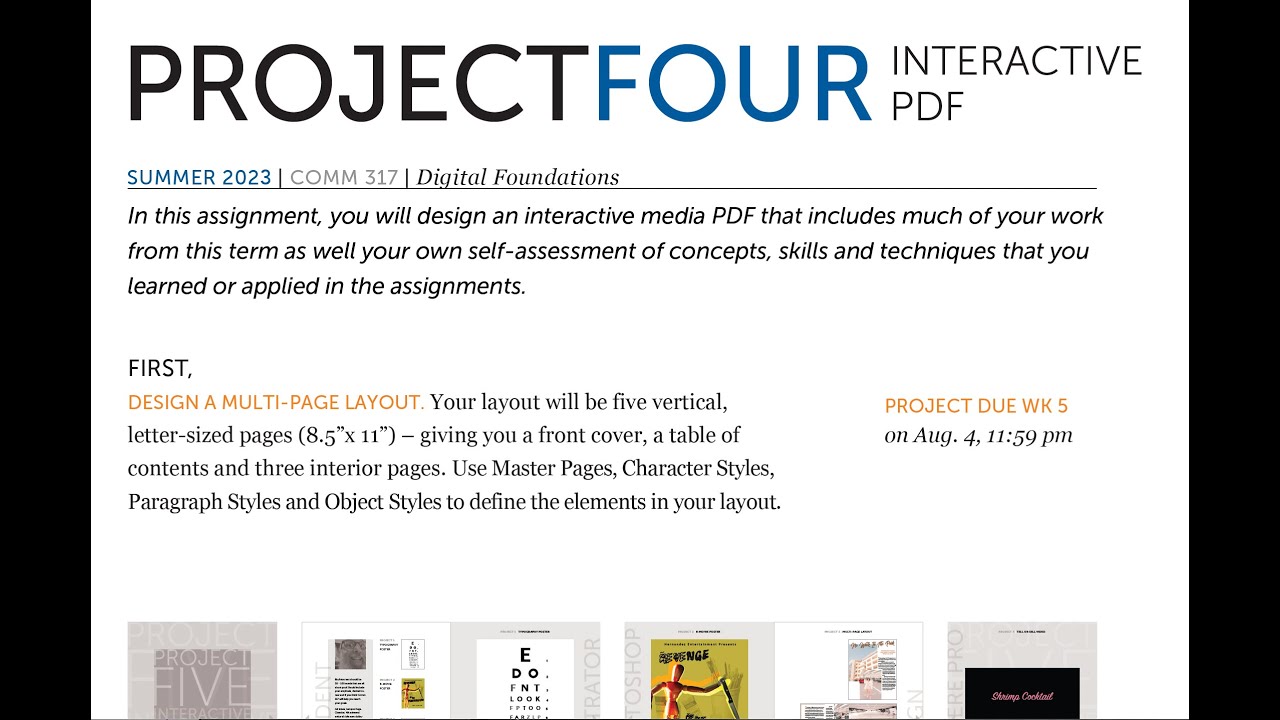 COMM 317 Interactive PDF Instructions and InDesign Interface