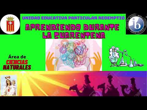 Daniela Andrea Salazar Lino - Destilación de alcohol etílico