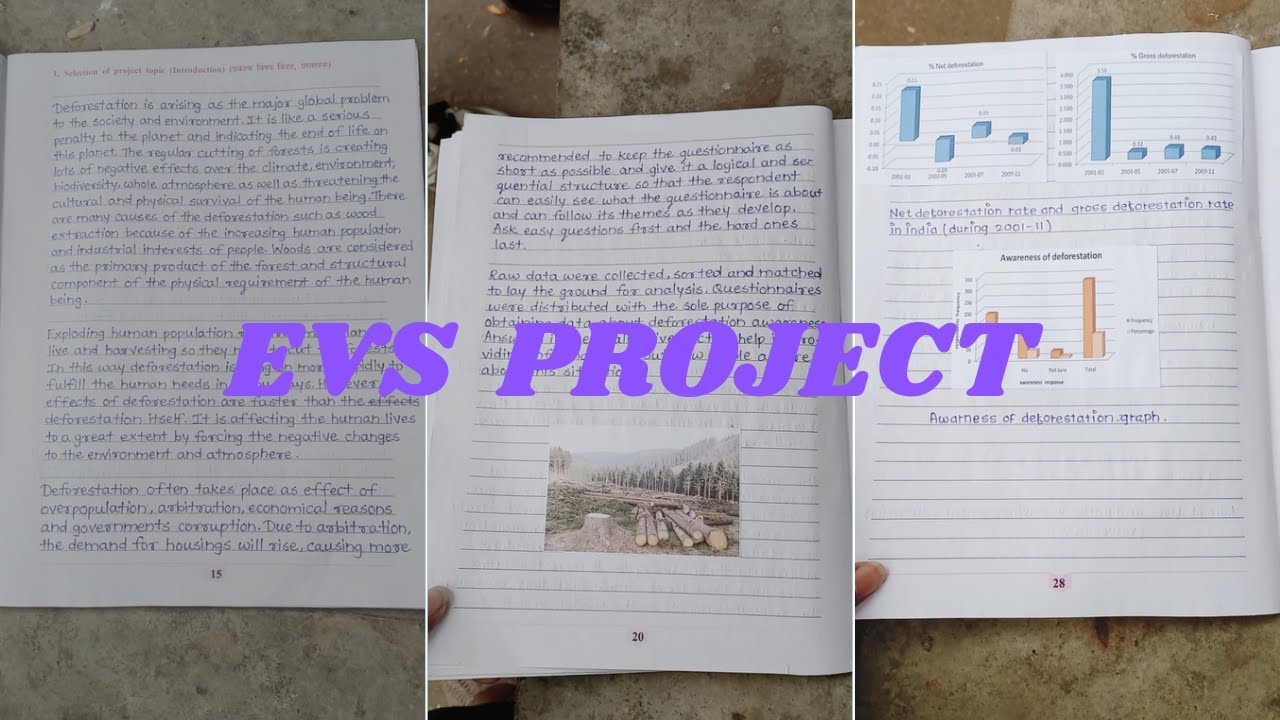 Deforestation project | 11th 12th EVS Project |