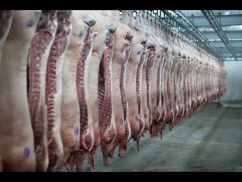 Eurocommerce meat company, best pork producer in Ukraine