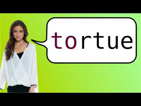 How to say turtle in French?