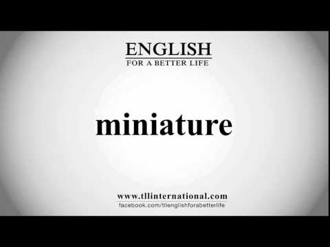 How to Pronounce Miniature