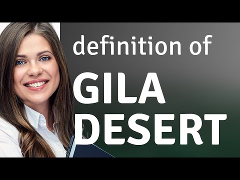 Gila desert • what is GILA DESERT definition