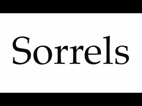 How to Pronounce Sorrels