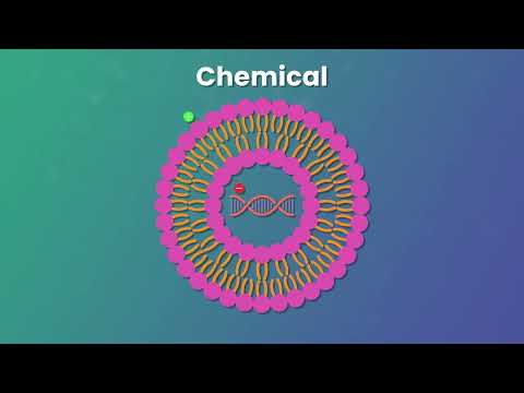 Introducing transfection