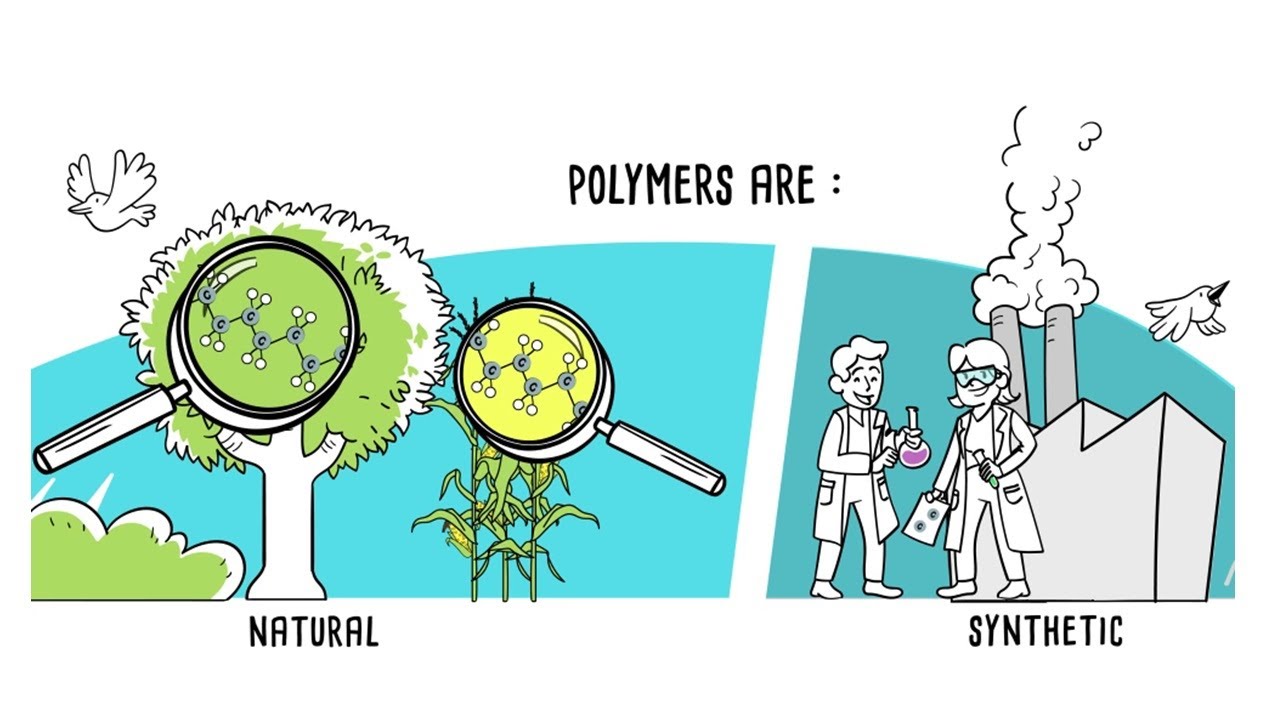 EN What is a compostable bio-based plastic?