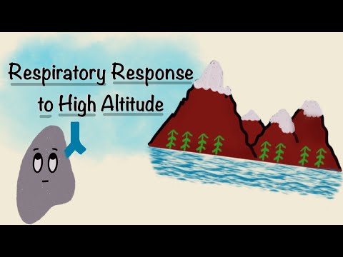 Respiratory Response To High Altitude | Acclimatization Physiology | Respiratory Physiology