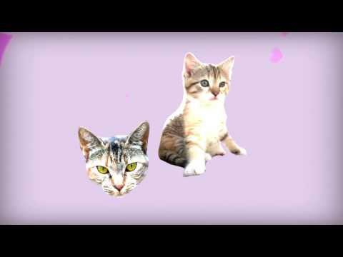 Steam Community :: Video :: cate