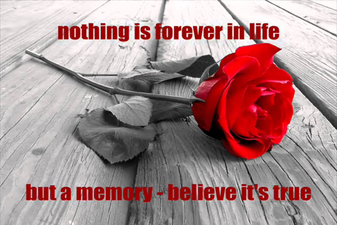 Edguy - Scarlet Rose + Lyrics