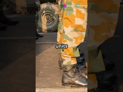 What is COBRA Battalion? Full Form & Details! #facts #history #upsc #ssc #ssccgl #sscchsl