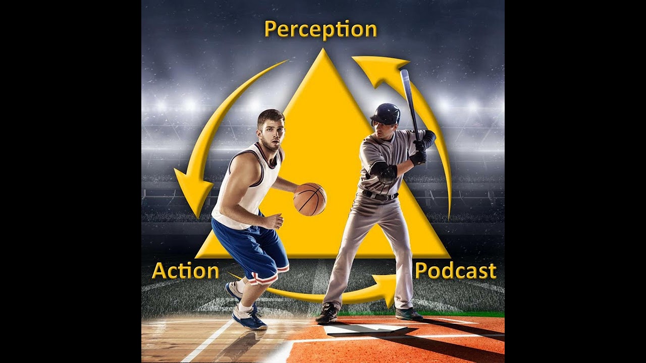 415 – Hysteresis in Movement Coordination