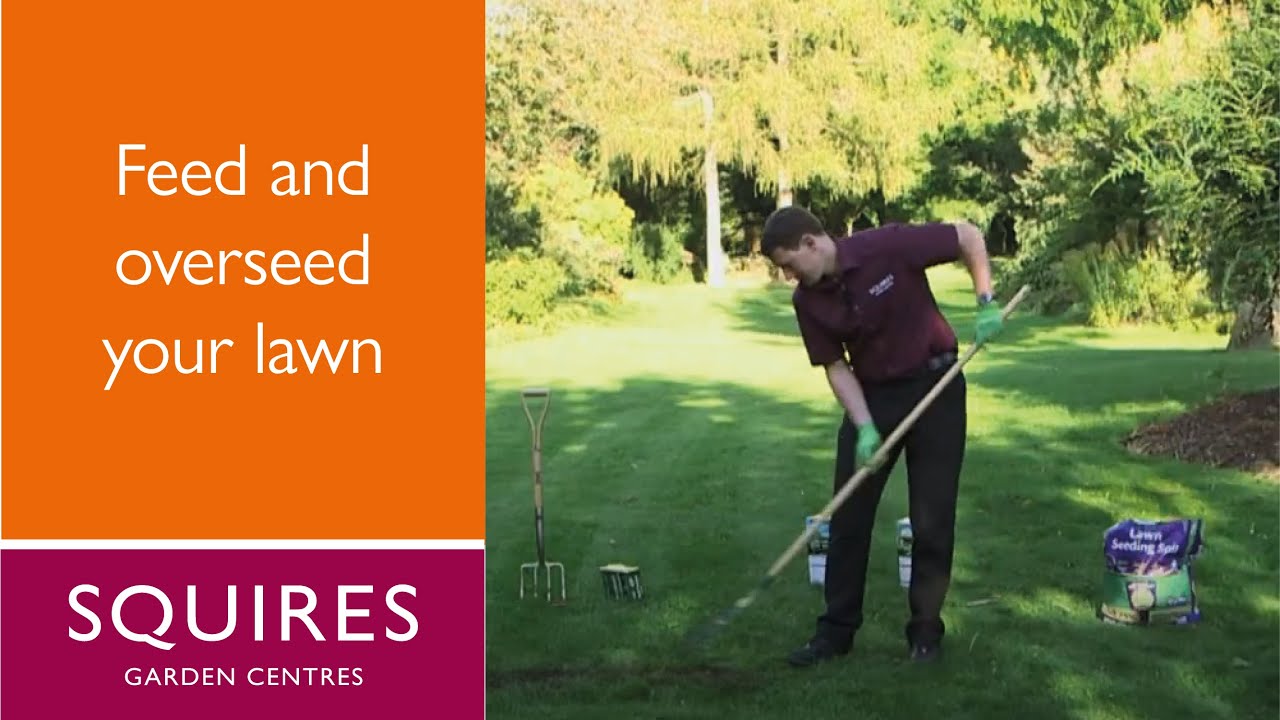 Gardening Videos - Squires Garden Centres