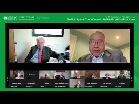 The fight against climate change in the new geopolitical environment - Task Force/IFF/IGSD