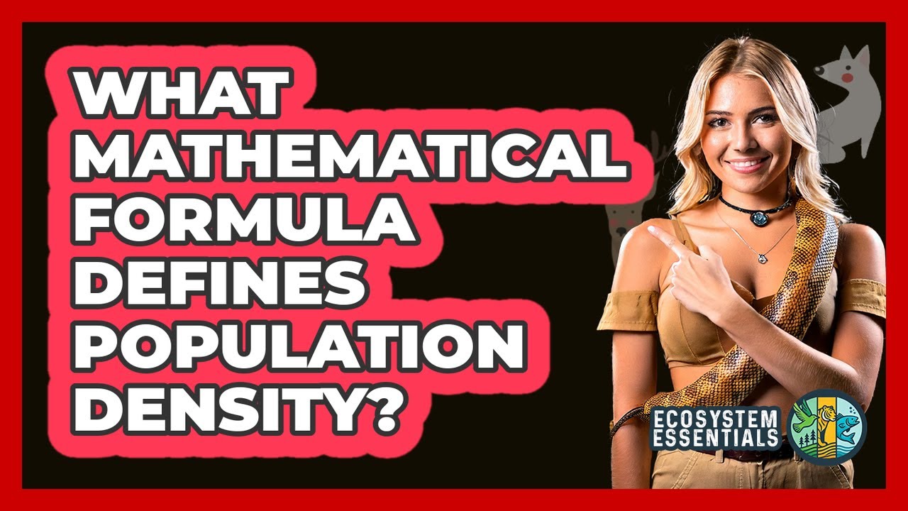 What Mathematical Formula Defines Population Density?