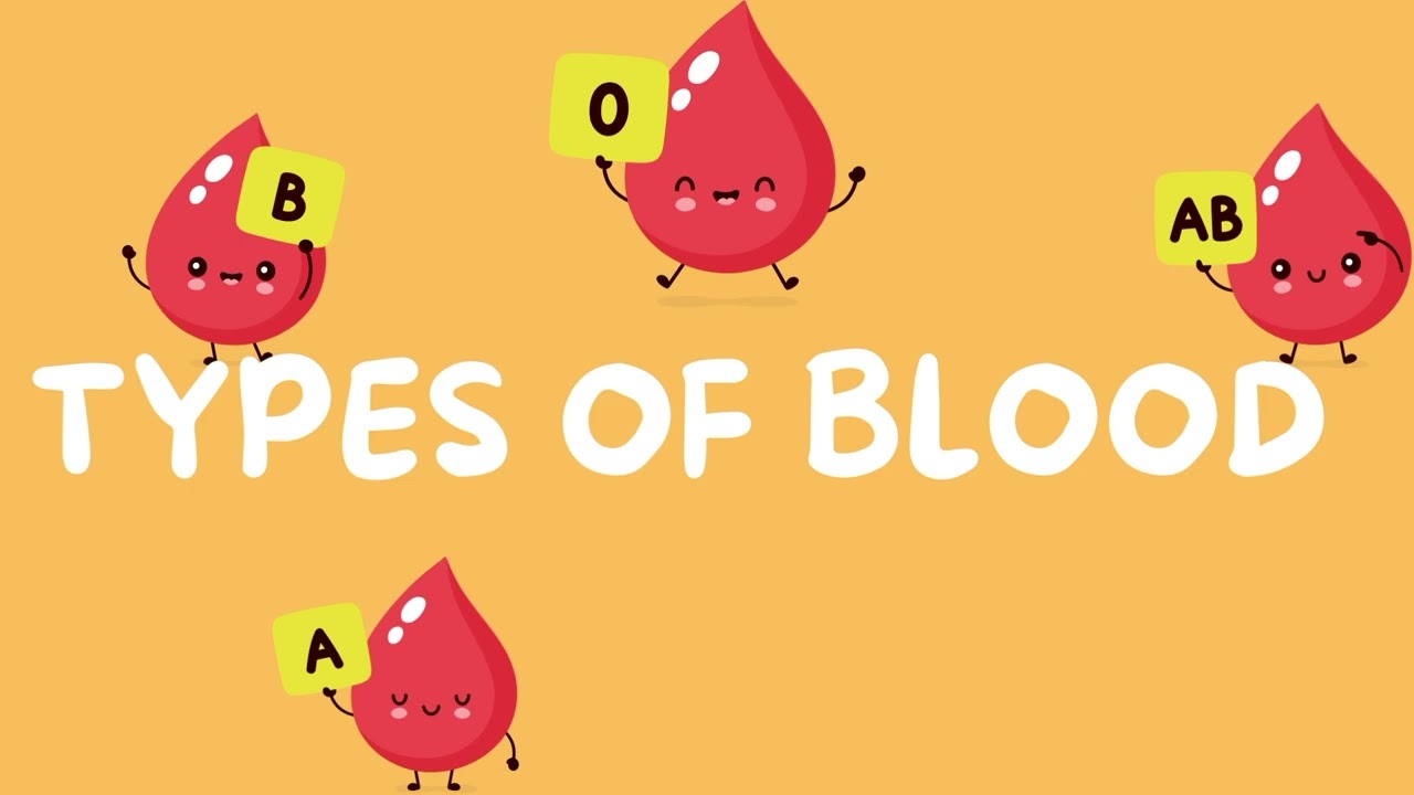 Understanding Blood: Composition, Types, and Hemostasis | Galaxy.ai