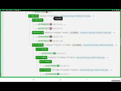 Using the yseq clade finder and discover.familytreedna.com tools (with Marseille)