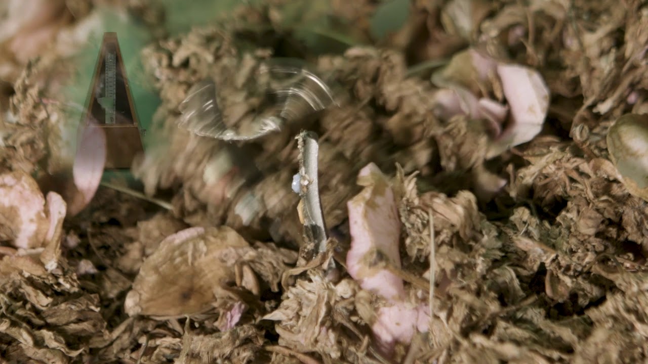 The Protagonists - Trailer | IFFR 2019