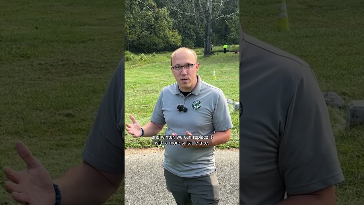 Montgomery Parks removing and replacing non-native trees to promote a healthier tree canopy